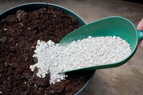 Nature's Footprint Pumice Soil amendment, 5-Gallon