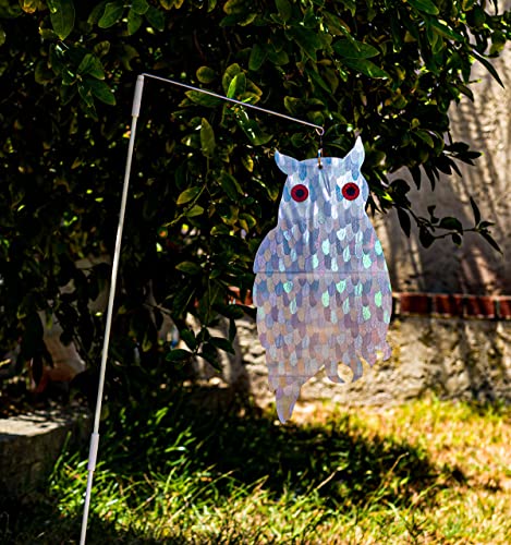 Holographic Owl Bird Deterrent- Scares Birds Away from Buildings, patios, Balconies and Gardens