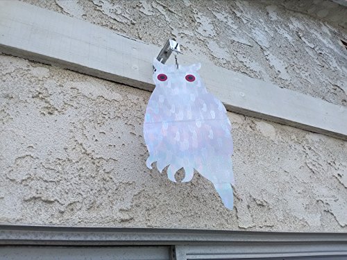 Holographic Owl Bird Deterrent- Scares Birds Away from Buildings, patios, Balconies and Gardens