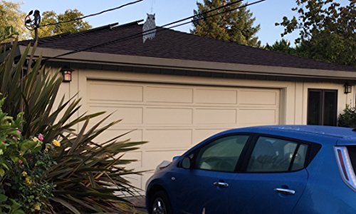 Holographic Owl Bird Deterrent- Scares Birds Away from Buildings, patios, Balconies and Gardens