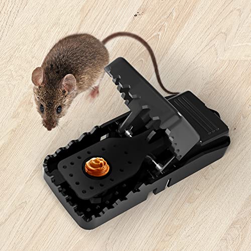 Instant Mouse Mice Traps Pack of 6 - for House, Indoor & Outdoor - Easy Setup & Reusable w/Powerful Spring - Quick & Effective Mousetrap Catcher, Best Traps to Remove Unwanted Rodents from Your Home