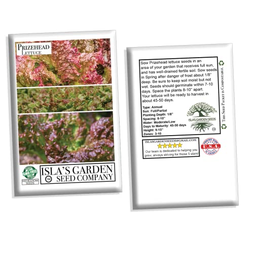 "Prizehead" Lettuce Seeds for Planting, 1000+ Heirloom Seeds Per Packet, (Isla's Garden Seeds), Non GMO Seeds, Botanical Name: Lactuca Sativa, 85% Germination Rates, Great Home Garden Gift