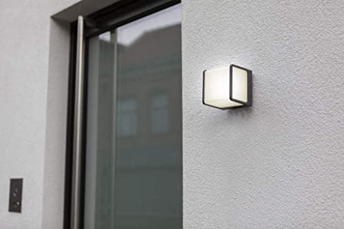 LUTEC 2 Packs TELIN LED Sconces Wall Lighting Indoor Outdoor Wall Light 14.5W Warm White 3000K 1000Lumen with Opal PC Diffuser for Porch, Garage, Garden, Entryway