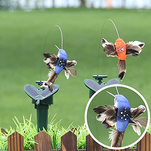 Hummingbird Solar Garden Dancing Decor Hummingbird Solar/Battery Powered Decoration & Hangs Large Glass Vases Floor Standing (A, One Size)