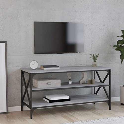 TV Cabinet,Entertainment Cabinet,TV Unit Cabinet,Modern TV Unit,for Living Room, Dinning Room, Bedroom, Rustic Brown Engineered Wood, grey sonoma 100 x 40 x 50 cm (Grey Sonoma 100 x 40 x 50 cm)