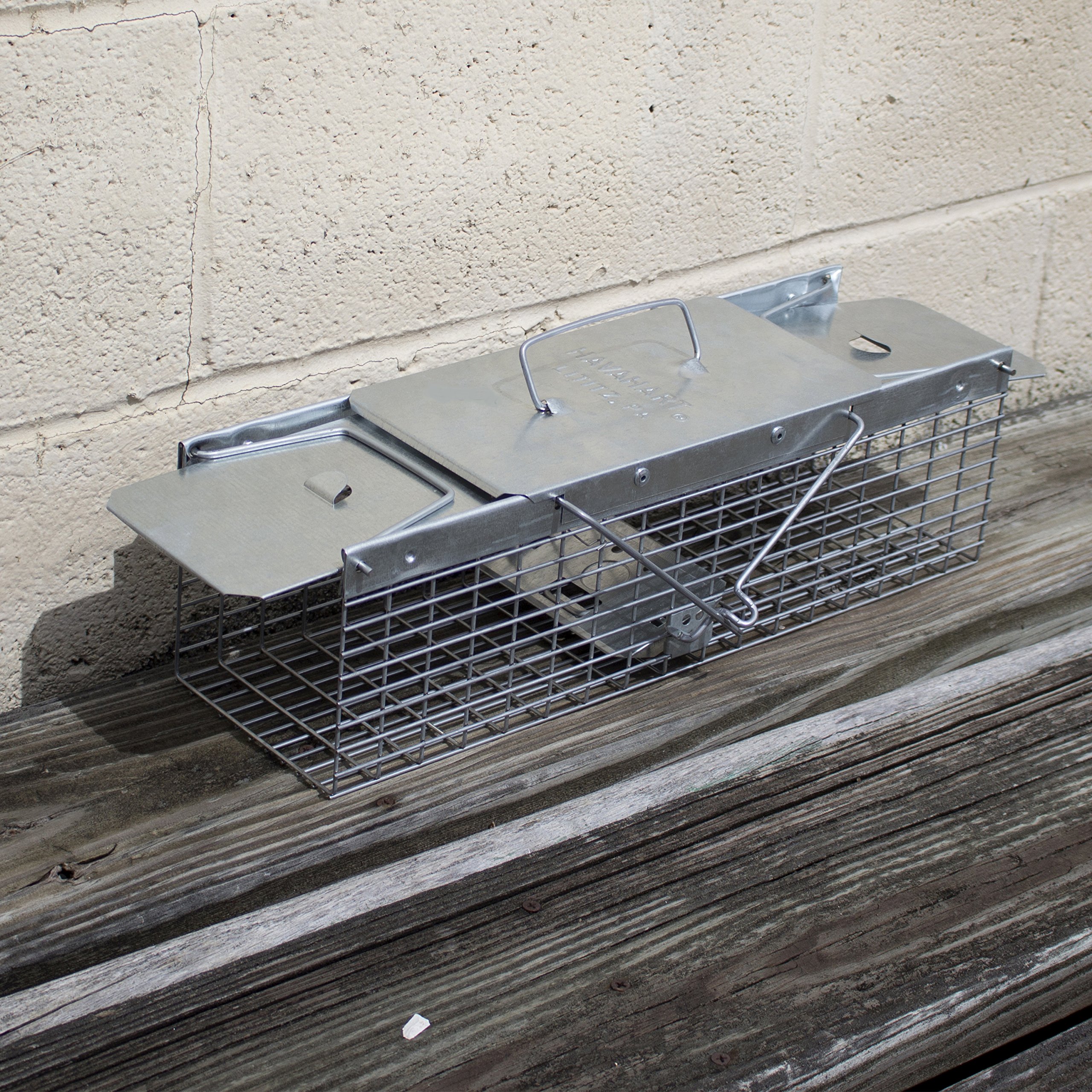 Havahart 1025 Small 2-Door Humane Catch and Release Live Animal Trap for Squirrels, Chipmunks, Rats, Weasels, and Small Animals