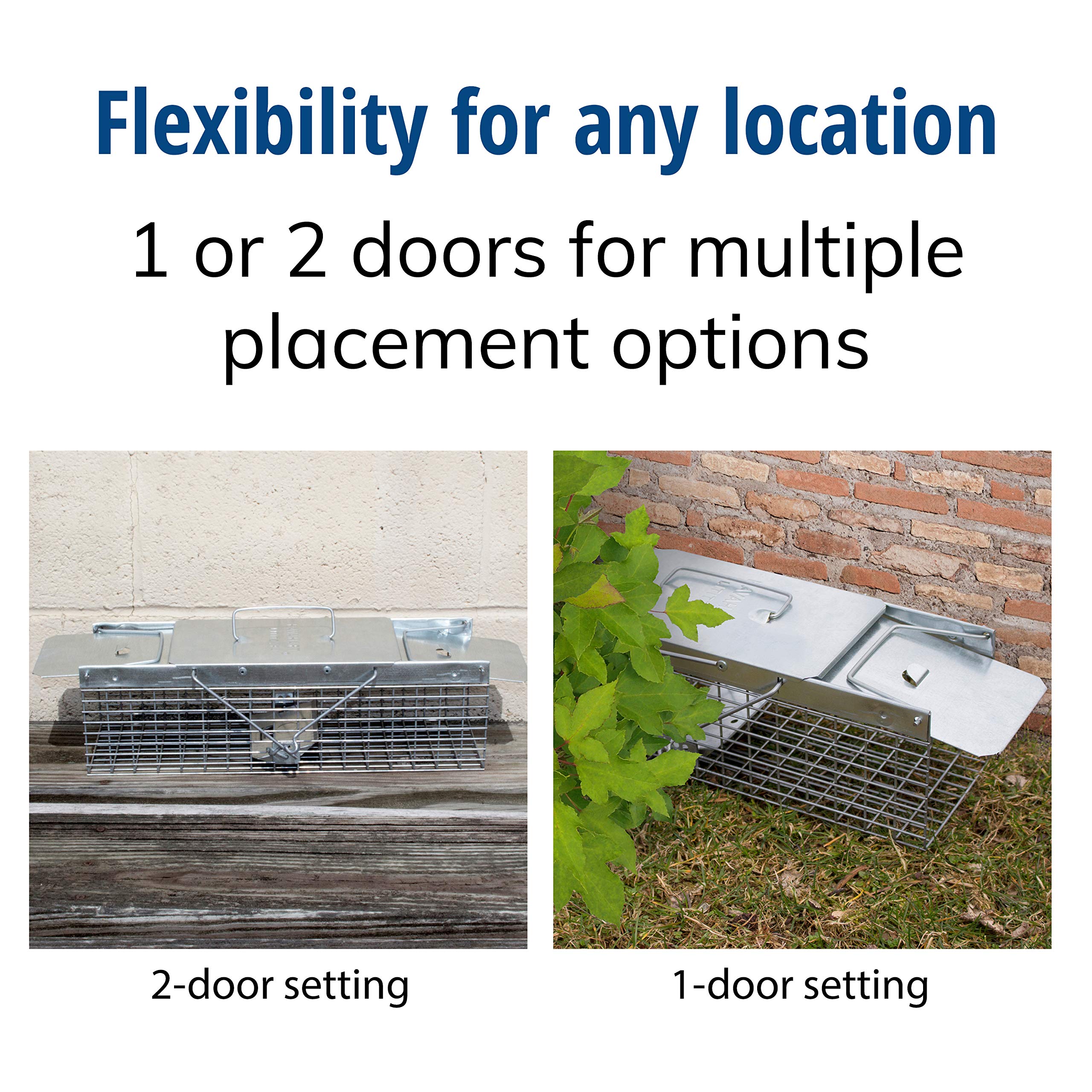 Havahart 1025 Small 2-Door Humane Catch and Release Live Animal Trap for Squirrels, Chipmunks, Rats, Weasels, and Small Animals
