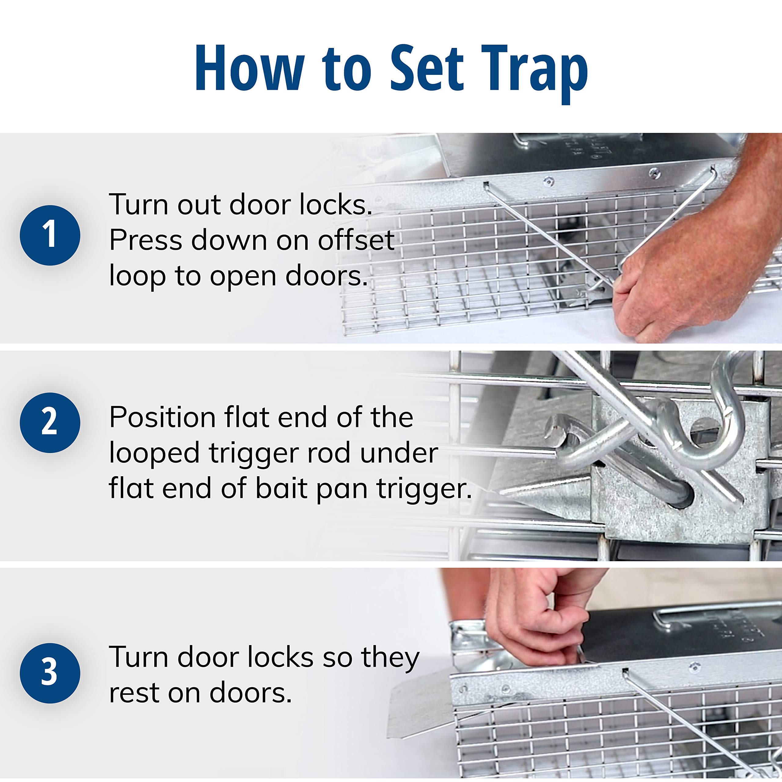 Havahart 1025 Small 2-Door Humane Catch and Release Live Animal Trap for Squirrels, Chipmunks, Rats, Weasels, and Small Animals