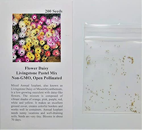 David's Garden Seeds Flower Daisy Livingstone Pastel Mix (Multi) 200 Non-GMO, Open Pollinated Seeds