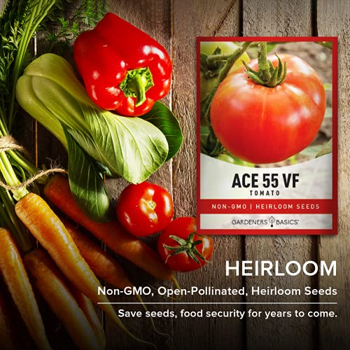 Ace 55 VF Tomato Seeds for Planting Heirloom Non-GMO Seeds for Home Garden Vegetables Makes a Great Gift for Gardening by Gardeners Basics