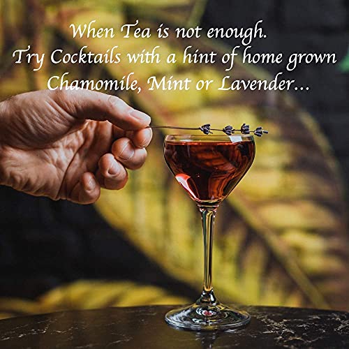 Indoor Herb Growing Kit - Herbal Tea Plants Included in Tea Growing Kits are Lavender, Chamomile & Mint Seeds. Medicinal Herb Plants Seed Kit