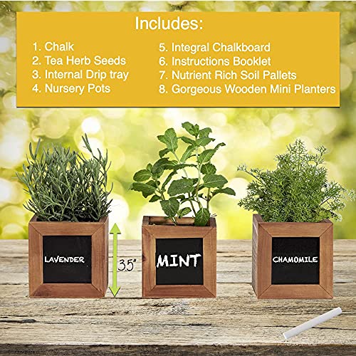 Indoor Herb Growing Kit - Herbal Tea Plants Included in Tea Growing Kits are Lavender, Chamomile & Mint Seeds. Medicinal Herb Plants Seed Kit