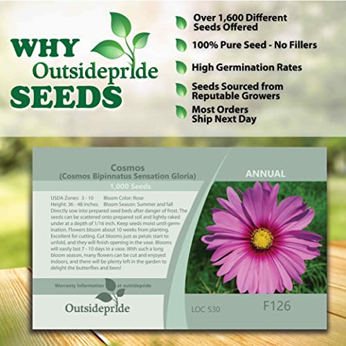 Outsidepride Cosmos Bipinnatus Gloria Garden Cut Flower Plants - 2000 Seeds