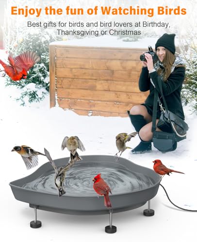 Heated Bird Bath for Outdoors for Winter - 60W Thermostatically Controlled Birdbath Heater for Winter with Large Capacity, All Seasons Available Bird Bath Heater for Outdoor in Winter Garden Yard