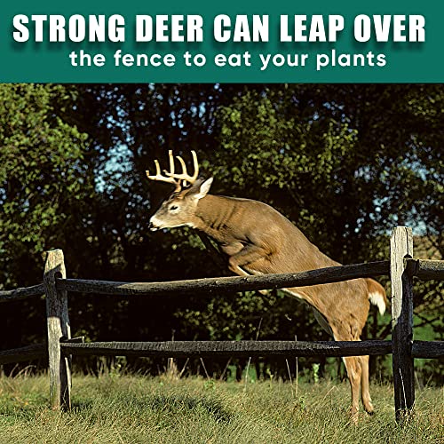SEEKBIT 4 Pack Deer Repellent | Rabbit Repellent | Deer Rodent Chipmunk Deterrent for Tree, Plant | Deer Repellent Deer Off Away from Garden, Yard, Lawn, Garage | Waterproof Long Lasting Outdoor