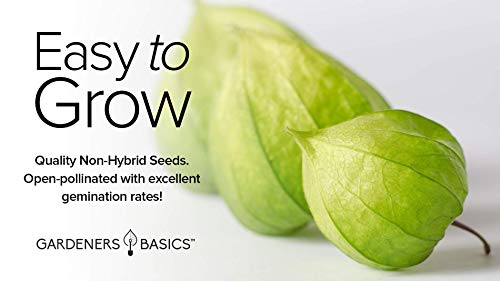 Tomatillo Grande Rio Verde Seeds for Planting Heirloom Non-GMO Seeds for Home Garden Vegetables Makes a Great Gift for Gardening by Gardeners Basics
