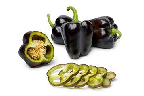Purple Beauty Sweet Bell Pepper Seeds for Planting, 100+ Heirloom Seeds Per Packet, (Isla's Garden Seeds), Non GMO Seeds, Botanical Name: Capsicum annuum, Great Home Garden Gift