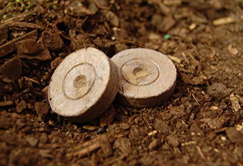 jiffy-7 Peat Pellet 36mm Seed Starting - 100 ea by Growers Solution