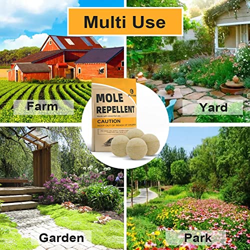 Pufado Mole Repellent, Vole Repellent Outdoor, Gopher Repellent, Mole Repellant for Lawn, Mole Deterrent for Yard, Mole Control, Keep Mole and Vole Out of Your Garden, Safe Around Pet & Plant -4 Packs