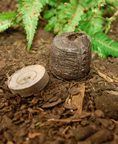 jiffy-7 Peat Pellet 36mm Seed Starting - 100 ea by Growers Solution