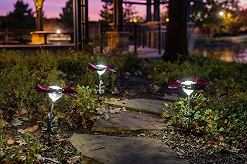 Desert Steel Flower Solar Light - (Red Poppy - 18" H x 11.5" W) - 20 Lumen LED Garden Light & Pathway Lamp