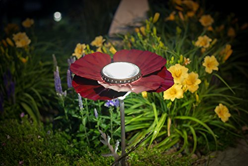 Desert Steel Flower Solar Light - (Red Poppy - 18" H x 11.5" W) - 20 Lumen LED Garden Light & Pathway Lamp