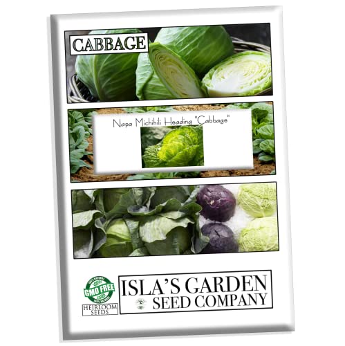"Napa Michihili Heading" Cabbage Seeds for Planting, 1000+ Heirloom Seeds Per Packet, (Isla's Garden Seeds), Non GMO Seeds, Botanical Name: Brassica oleracea var. capitata, Great Home Garden Gift