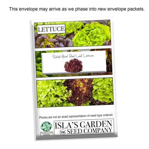 Salad Bowl Red Leaf Lettuce Seeds for Planting, 1000+ Heirloom Seeds Per Packet, (Isla's Garden Seeds), Non GMO Seeds, Botanical Name: Lactuca Sativa