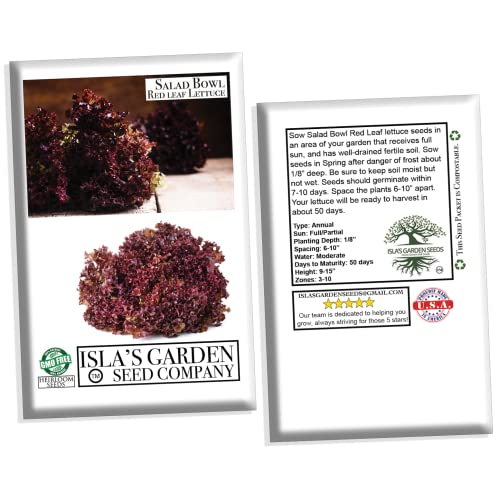 Salad Bowl Red Leaf Lettuce Seeds for Planting, 1000+ Heirloom Seeds Per Packet, (Isla's Garden Seeds), Non GMO Seeds, Botanical Name: Lactuca Sativa