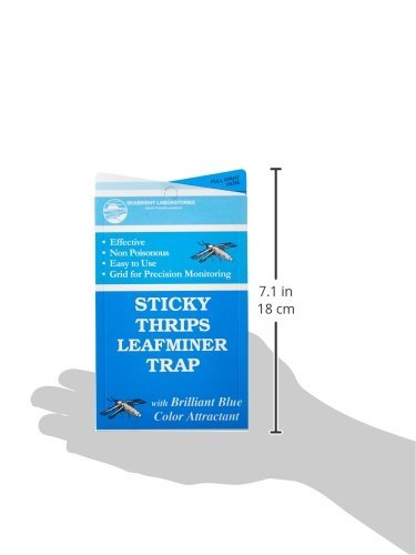 Seabright HGSLTLT Sticky Thrip Leafminer Trap, Pack of 5