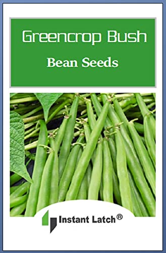 25 Greencrop Bush Bean Seeds | Non-GMO | Heirloom | Instant Latch Fresh Garden Seeds