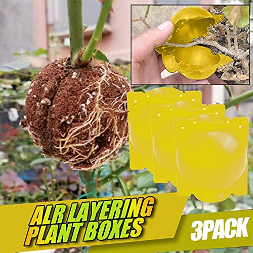 SENGTONG Plant-Rooting Device PP Plastic Reusable Plant-Root Propagator Garden Lawn Homebass Outdoor Indoor Planter Plant Rack Indoor (S, S)