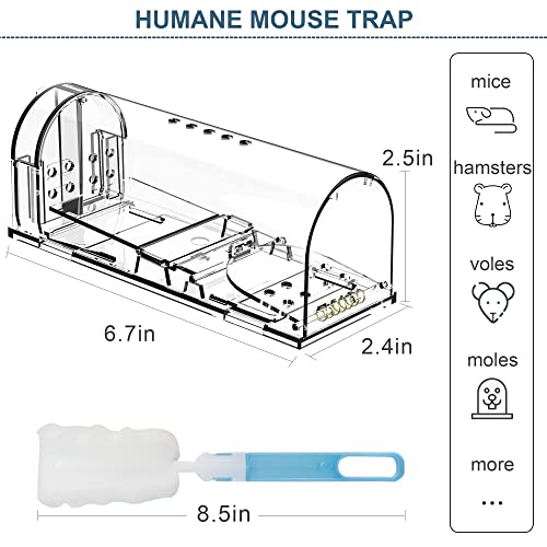 Humane Mouse Traps, Catch & Release, Reusable Rat Traps, Easy to Set and Safe for Family and Pets, No Kill for Small Rodent/Hamsters/Moles, Catcher That Works for Indoor/Outdoor, 3 Pack, Transparent