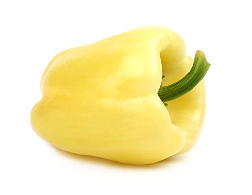 White Sweet Bell Pepper Seeds for Planting, 20+ Heirloom Seeds Per Packet, (Isla's Garden Seeds), Non GMO Seeds, Botanical Name: Capsicum annuum, Great Home Garden Gift