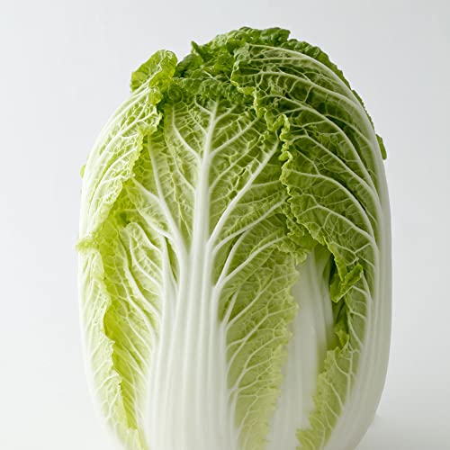 Chinese Cabbage Seeds - Chun Yeon Gold - Hybrid - 1 g Packet ~191 Seeds - Non-GMO, F1 Hybrid - Asian Garden Vegetable