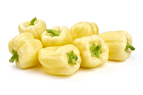 White Sweet Bell Pepper Seeds for Planting, 20+ Heirloom Seeds Per Packet, (Isla's Garden Seeds), Non GMO Seeds, Botanical Name: Capsicum annuum, Great Home Garden Gift