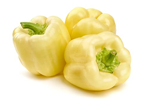 White Sweet Bell Pepper Seeds for Planting, 20+ Heirloom Seeds Per Packet, (Isla's Garden Seeds), Non GMO Seeds, Botanical Name: Capsicum annuum, Great Home Garden Gift