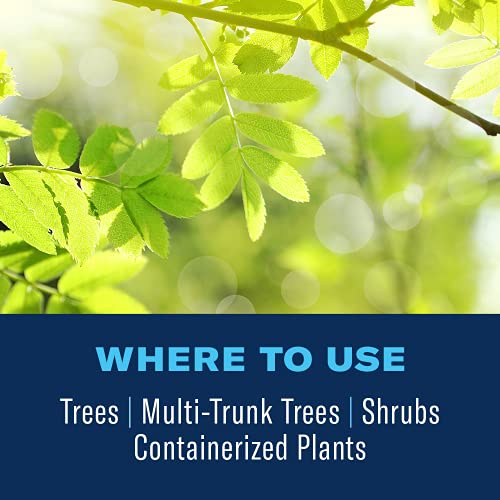 BioAdvanced 12 Month Tree and Shrub Protect and Feed, Granules, 10 lb