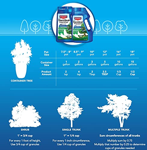 BioAdvanced 12 Month Tree and Shrub Protect and Feed, Granules, 10 lb