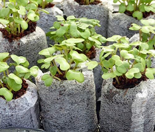Garden Starter Kit - DIY Seedling Starter for Tomatoes, Peppers, Cucumber Planting (4 Tray)