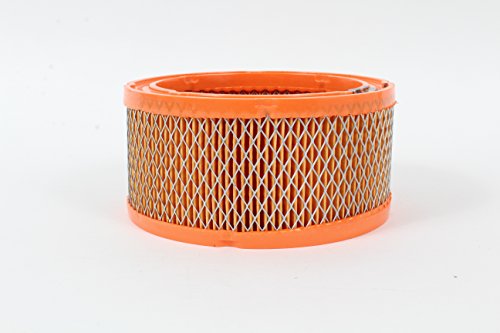 Generac Guardian Air Filter 0C8127