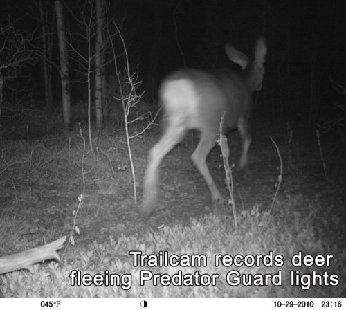 Solar Powered Predator Deterrent Light Scares Nocturnal Nuisance Animals Away - Nightime Deer Coyote Raccoon Wild Animal Repellent Device - Chicken Coop Accessories - Red LED Eyes