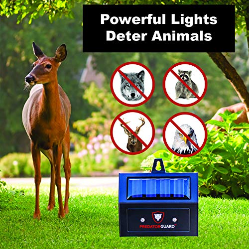Solar Powered Predator Deterrent Light Scares Nocturnal Nuisance Animals Away - Nightime Deer Coyote Raccoon Wild Animal Repellent Device - Chicken Coop Accessories - Red LED Eyes
