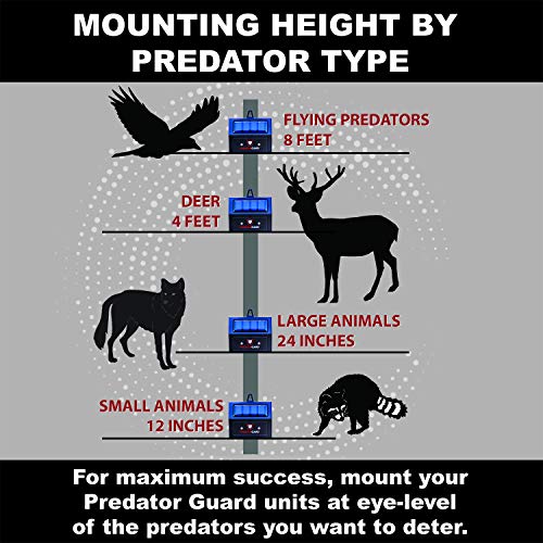 Solar Powered Predator Deterrent Light Scares Nocturnal Nuisance Animals Away - Nightime Deer Coyote Raccoon Wild Animal Repellent Device - Chicken Coop Accessories - Red LED Eyes