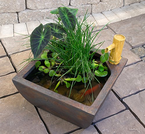 Aquascape Aquatic Patio Pond Water Garden with Bamboo Fountain, 16-Inch | 78197