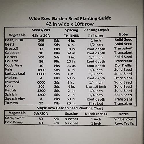 PAPAW'S GARDEN SUPPLY LLC. HELPING THE NEXT GENERATION GROW! Tall Wando Bush Pea Seeds, Non-GMO, 1 Pack of 200 Vegetable Seeds