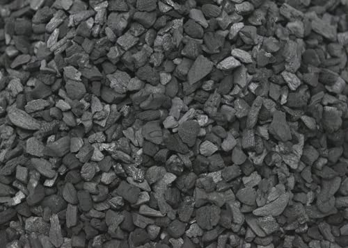 TerraGreen Creations - Horticultural Charcoal, Activated Hardwood Charcoal for Soil, Terrarium Supplies, Great for Conditioning Bonsai Soil, Succulent Soil, Indoor Plant Potting Soil (1qt.)