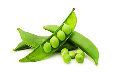 Mammoth Melting Sugar Pod Snow Pea Garden Seeds - 100 Seeds ~ Non-GMO, Heirloom Vegetable Gardening & Microgreens Seeds