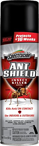 Spectracide Ant Shield Insect Killer Aerosol, 15-Ounce, Case Pack of 12