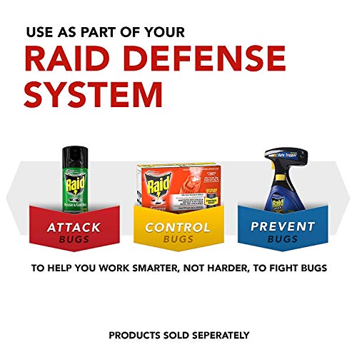 Raid House and Garden Aerosol 11 Ounce (Pack of 6)